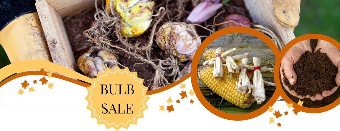 Come to Our Fall Garden Event – Bulbs and Family Fun
